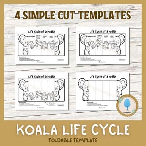 Koala Life Cycle Science Activity for Kids | Foldable Craft | Koala Study | Australian Animal ...