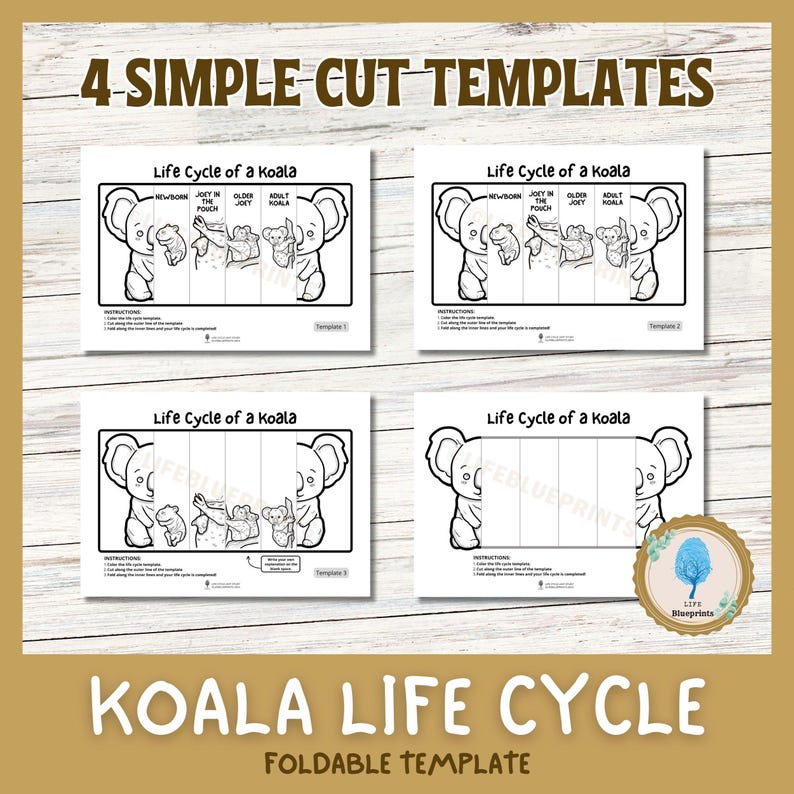 Koala Life Cycle Science Activity for Kids | Foldable Craft | Koala ...