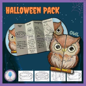 Halloween Life Cycle Pack | Grey Wolf, Bat, Pumpkin, Owl, Spider ...