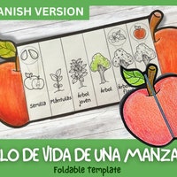 SPANISH Clownfish Life Cycle Learning Activity for Kids Digital ...