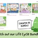 Foldable Octopus Life Cycle Learning Activity for Kids | A4 and 11x8.5 ...