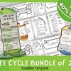 SPANISH Axolotl Life Cycle Unit Study | Includes Posters, Flashcards ...