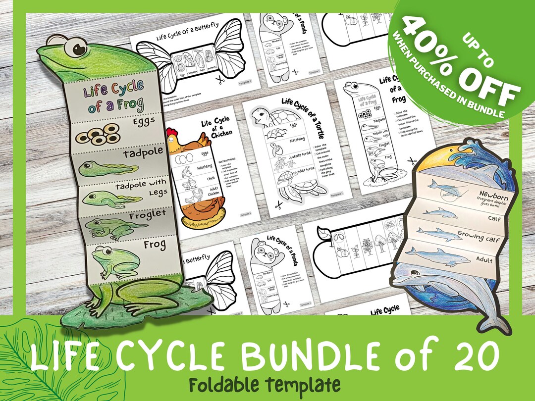 Foldable Life Cycle Bundle of 20 Templates Discounts With Bundle ...