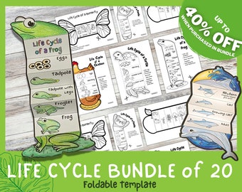 Foldable Seahorse Life Cycle Learning Activity for Kids A4 - Etsy