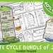 Foldable Life Cycle Bundle of 20 Templates | Discounts With Bundle ...