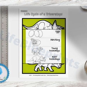 Triceratops Dinosaur Life Cycle Learning Activity for Kids | Montessori ...
