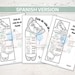 SPANISH Panda Life Cycle Learning Activity for Kids | Foldable Science ...