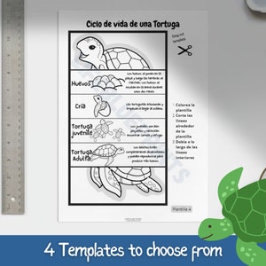 SPANISH Turtle Life Cycle Learning Activity for Kids | Montessori ...