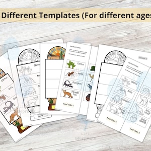 Desert Food Chains Foldable Kids' Craft | Snow Globe | Food Web ...