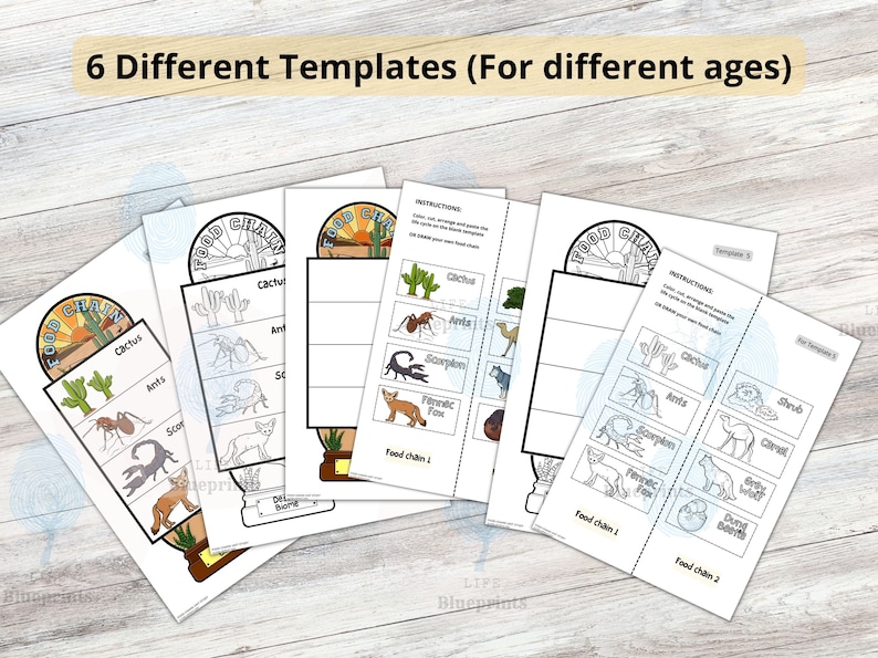 Desert Food Chains Foldable Kids' Craft | Snow Globe | Food Web ...