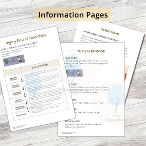 Desert Food Chains Foldable Kids' Craft | Snow Globe | Food Web ...