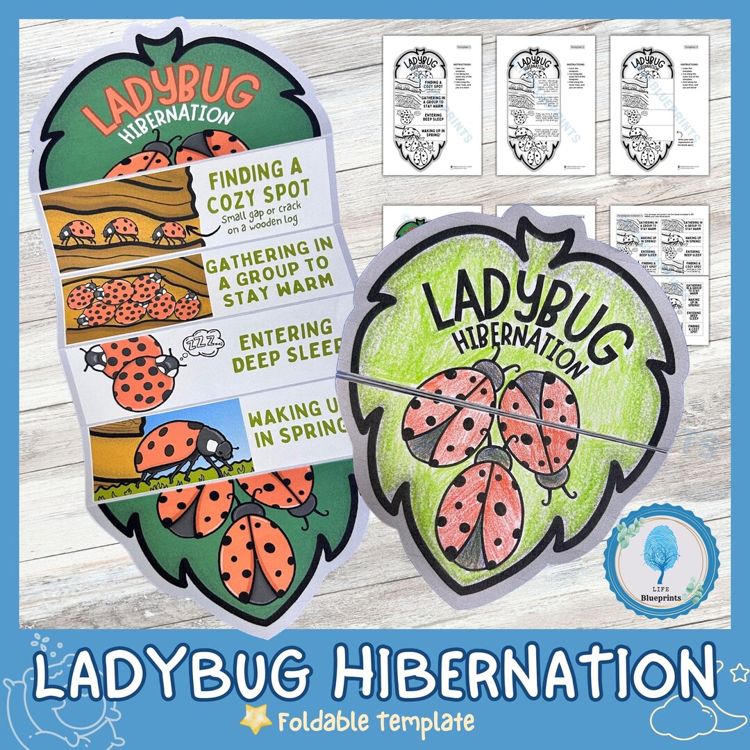 Ladybugs Hibernation Foldable Activity | Winter Sleep Study ...
