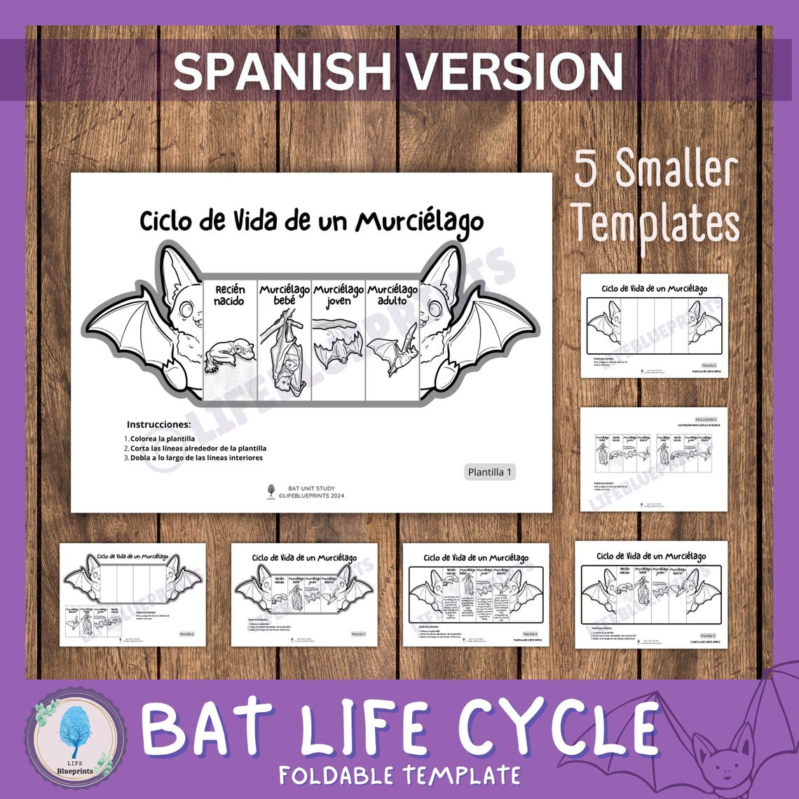 SPANISH Life Cycle of a Bat Science Activity for Kids Foldable Craft ...