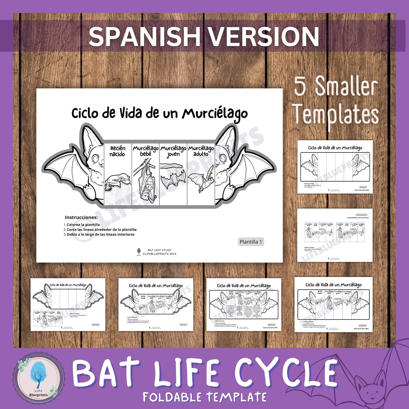 SPANISH Life Cycle of a Bat Science Activity for Kids Foldable Craft ...