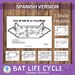 SPANISH Life Cycle of a Bat Science Activity for Kids | Foldable Craft ...