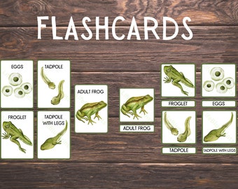 FROG LIFE CYCLE Montessori Cards Flash Cards Educational Material ...