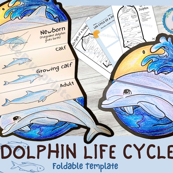 Foldable Dolphin Life Cycle Learning Activity for Kids | A4 and 11x8.5 ...