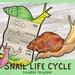 Foldable Snail Life Cycle Learning Activity for Kids A4 and - Etsy
