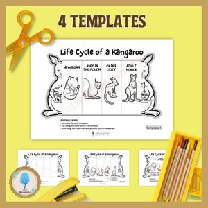 Kangaroo Life Cycle Activity for Kids | Foldable Craft | Australian ...