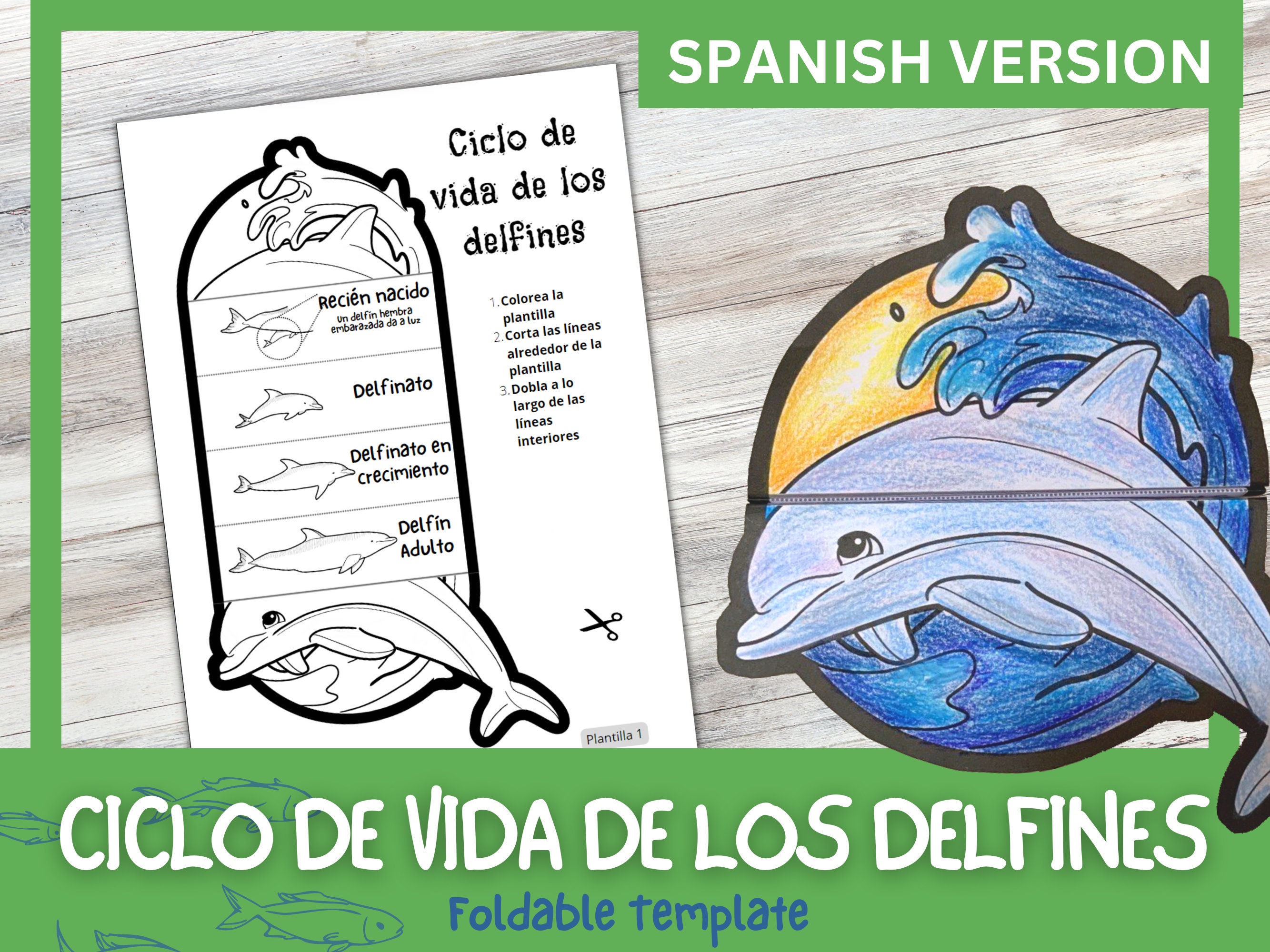 Fichas De Trabajo Sobre La Isla De Los Delfines Azules