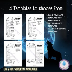 Grey Wolf Life Cycle Science Activity | Foldable Craft | Wolf Unit ...