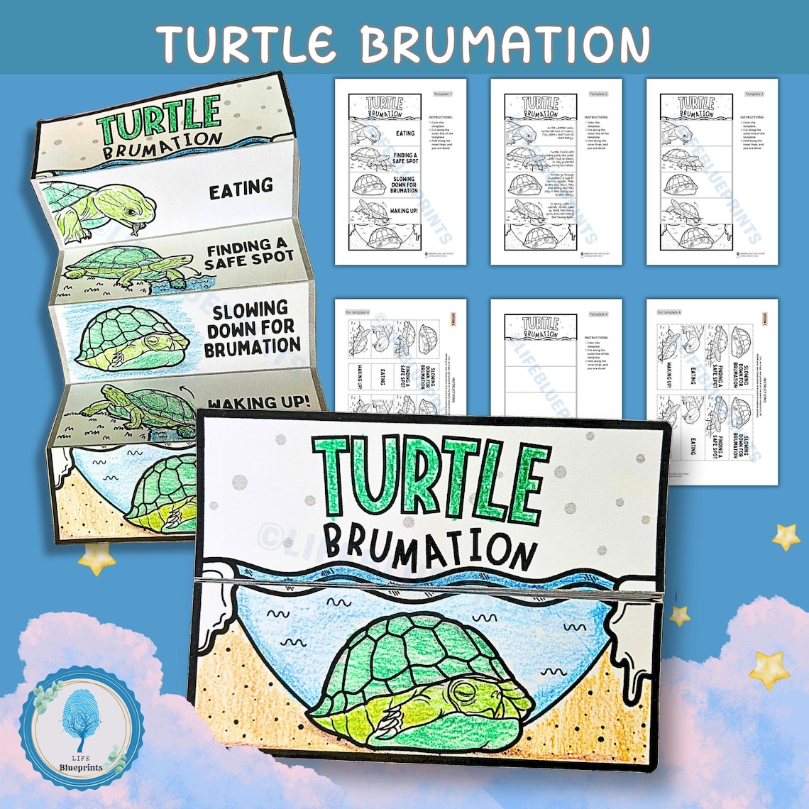Hibernation & Brumation Craft Bundle – Fun, Interactive Winter Science ...