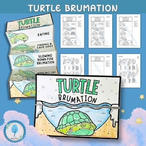 Hibernation & Brumation Craft Bundle – Fun, Interactive Winter Science ...