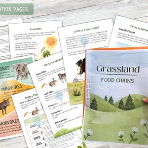 Grassland Food Chains Unit Study | Snow Globe | Food Web Printable | A4 ...