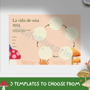 SPANISH Life Cycle of a Mushroom| Foldable Life Cycle Craft | Digital ...
