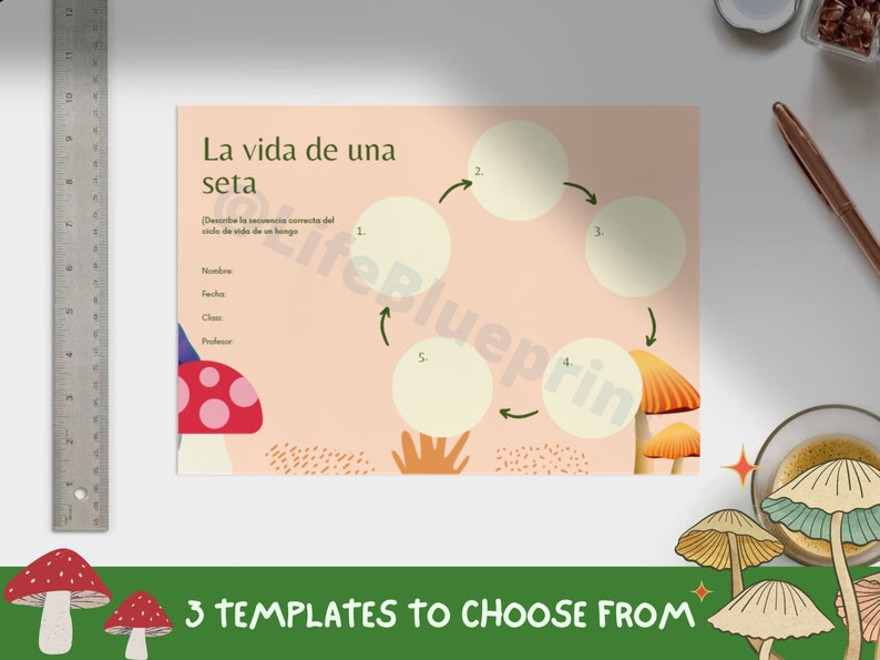 SPANISH Life Cycle of a Mushroom Foldable Life Cycle Craft Digital ...