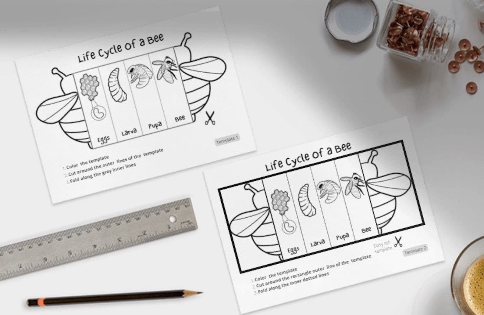 Foldable Bee Life Cycle Learning Activity for Kids | A4 and 11x8.5 Inch ...