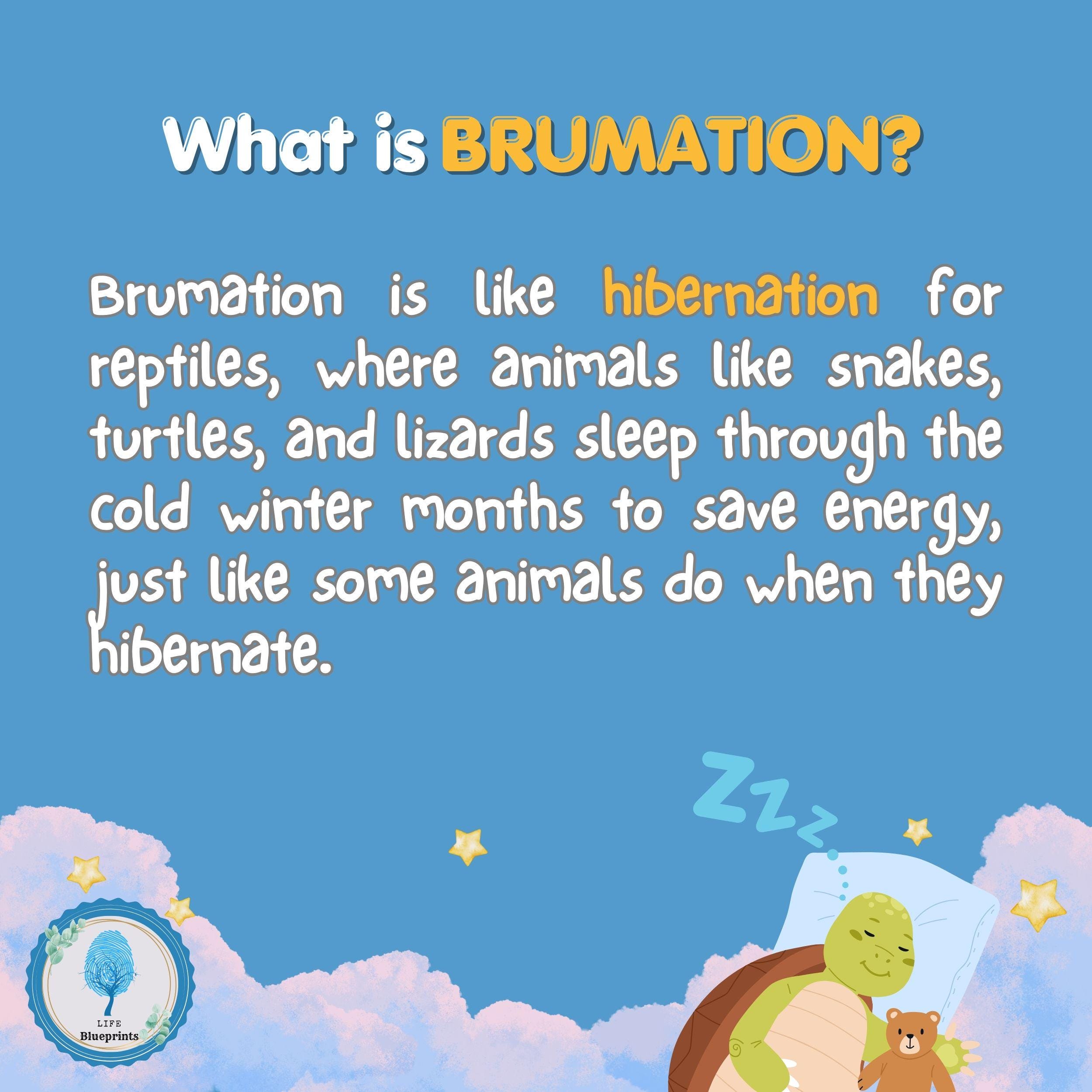 Frog Brumation | Hibernation Foldable Activity | Reptiles Hibernation ...