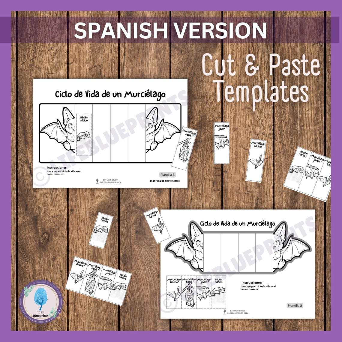 SPANISH Life Cycle of a Bat Science Activity for Kids Foldable Craft ...