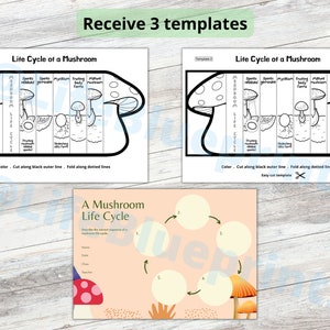 Foldable Mushroom Life Cycle Learning Activity for Kids A4 and 11x8.5 ...