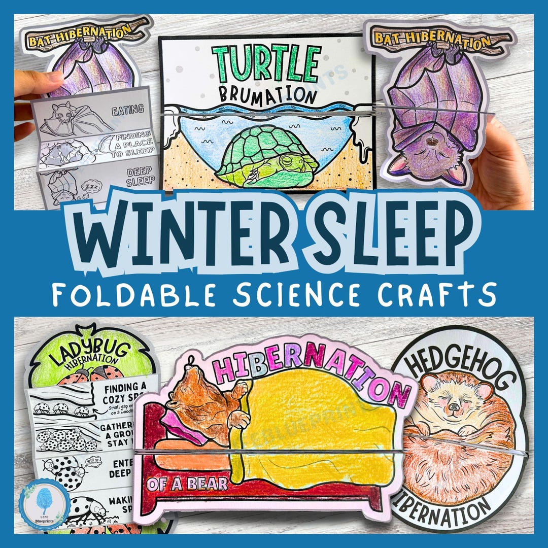 Hibernation & Brumation Craft Bundle – Fun, Interactive Winter Science ...