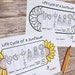 Foldable Sunflower Life Cycle Learning Activity for (Instant Download ...