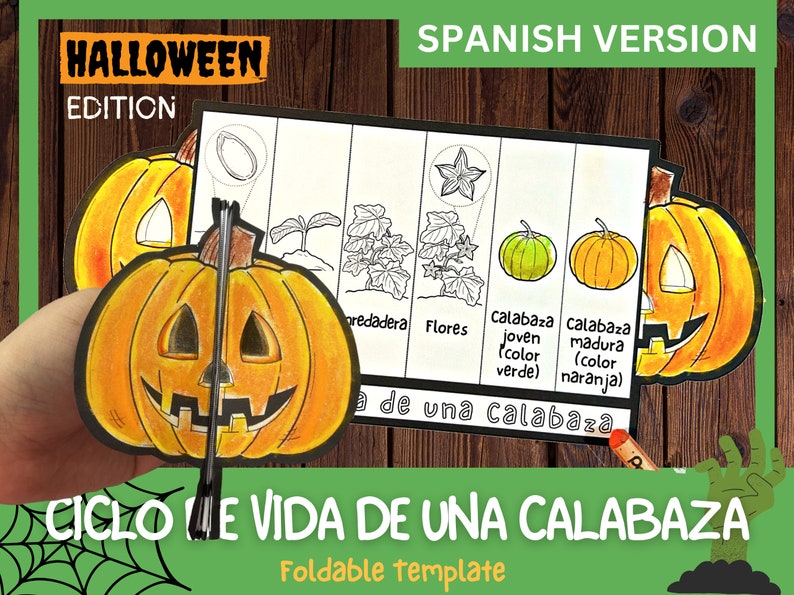 SPANISH Life Cycle of a Pumpkin Plant | Foldable Life Cycle Craft ...