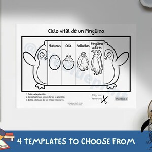SPANISH Life Cycle of Penguin| Foldable Life Cycle Craft | Digital ...
