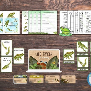 Frog Life Cycle Unit Study | Poster, Flashcards, Lesson Plan | Nature ...
