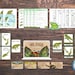 Frog Life Cycle Unit Study | Poster, Flashcards, Lesson Plan | Nature ...