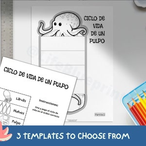 SPANISH Octopus Life Cycle Learning Activity for Kids | Montessori ...