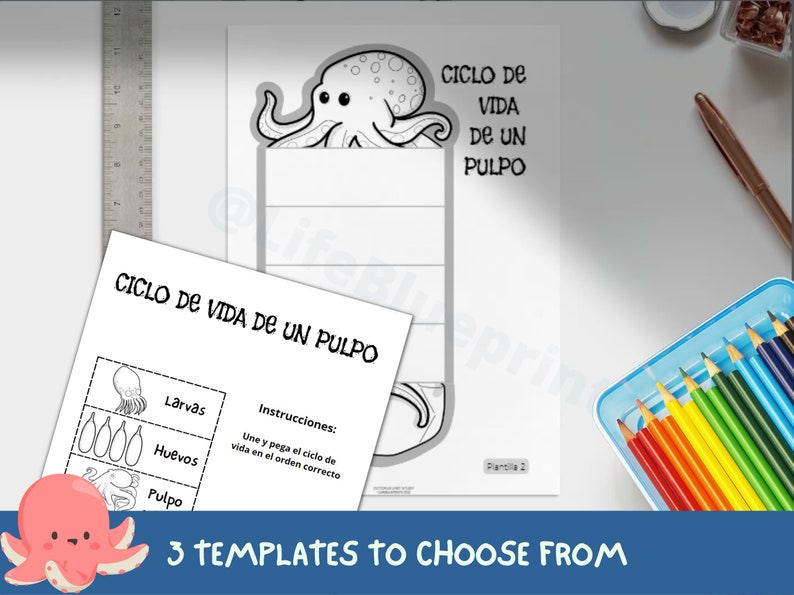 SPANISH Octopus Life Cycle Learning Activity for Kids - Etsy