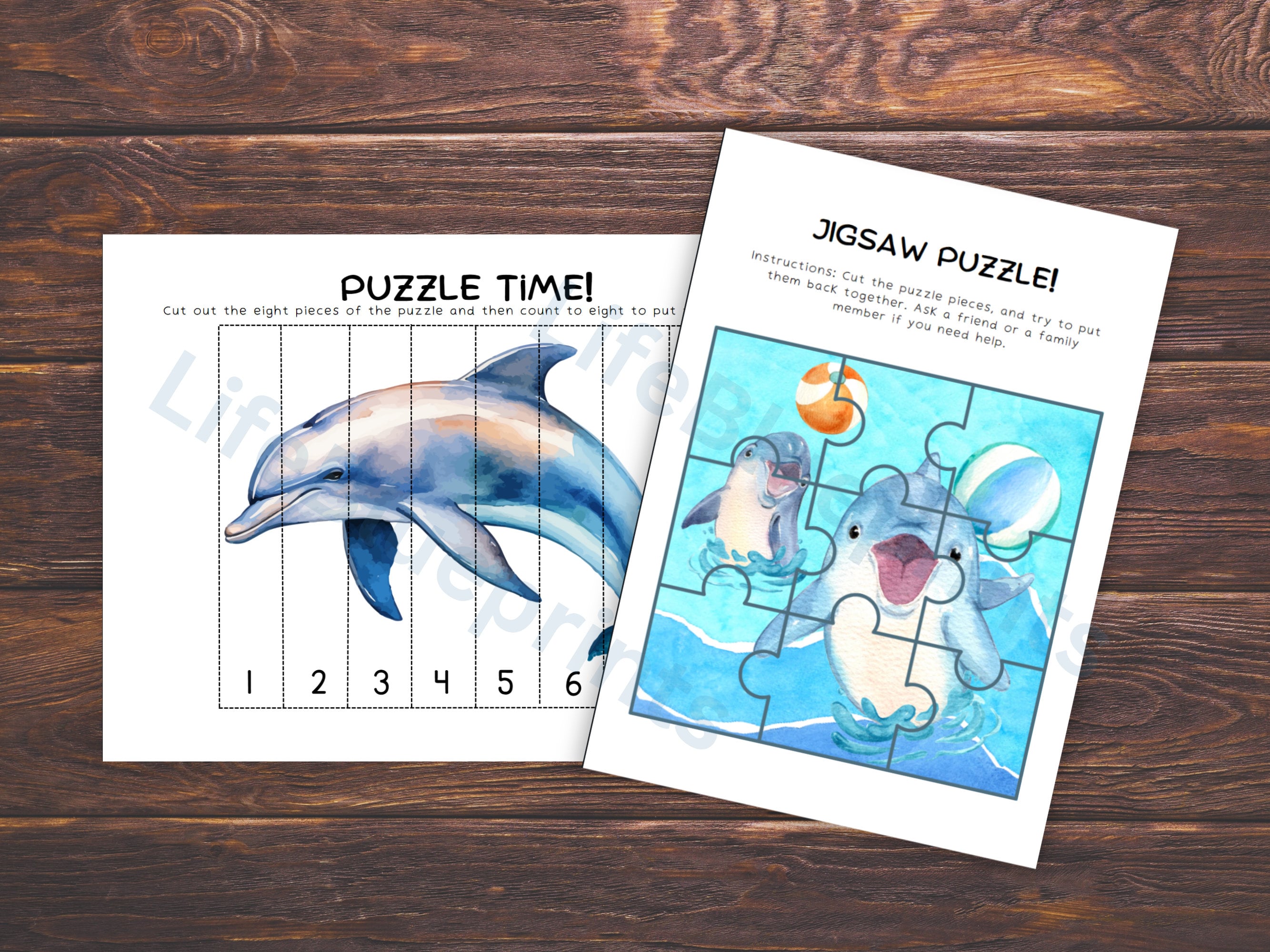 Dolphin Anatomy Poster for Kids Nature Study Science - Etsy