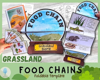 Desert Food Chains Foldable Kids' Craft | Snow Globe | Food Web ...