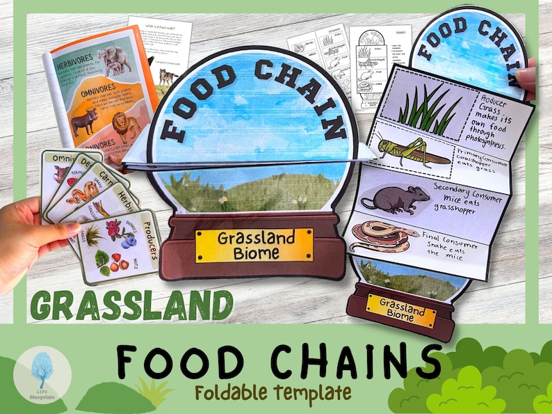 Grassland Food Chains Unit Study Snow Globe Food Web Printable A4 ...