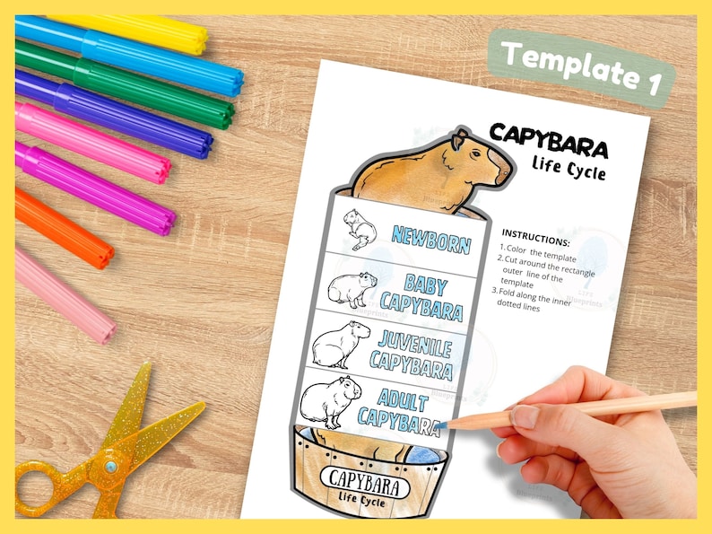 Capybara Life Cycle Learning Activity for Kids | A4 and 11x8.5 Inch ...