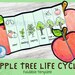 Foldable Apple Life Cycle Learning Activity for Kids | A4 and 11x8.5 ...