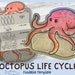 Foldable Octopus Life Cycle Learning Activity for Kids A4 and 11x8.5 ...