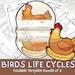 Bird Life Cycle Bundle of 6 Templates | Duck, Chicken, Penguin, Parrot ...