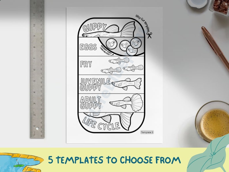 Foldable Guppy Fish Life Cycle Learning Activity for Kids A4 - Etsy